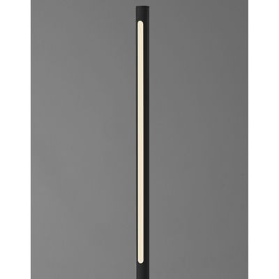 Cole LED Color Changing Wall Washer Floor Lamp by Adesso at Lumens.com