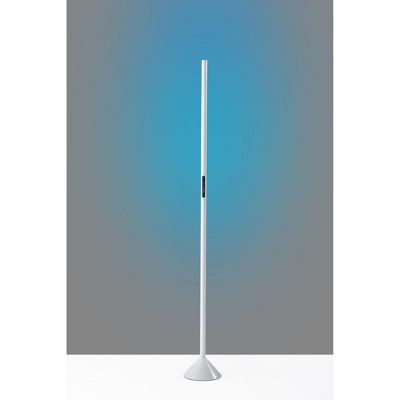 Cole LED Color Changing Wall Washer Floor Lamp by Adesso at Lumens.com