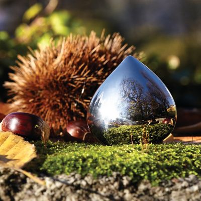 Chestnut Pill Box by Alessi at Lumens.com