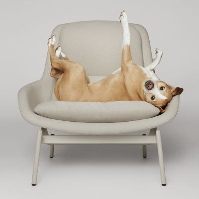 Field Lounge Chair by Blu Dot at Lumens.com