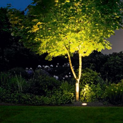 Asymmetrical LED In-Ground Floodlight - 77008 by BEGA at Lumens.com