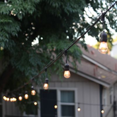 Vintage String Light Kit by Bulbrite at Lumens.com