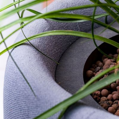 BuzziPlanter Drum Planter by BuzziSpace at Lumens.com