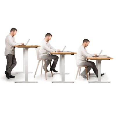 Invigo Sit-Stand Desk with Modesty Panel by Copeland Furniture at ...