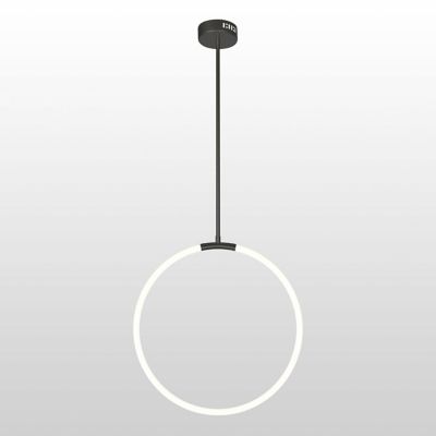 Hoops LED Pendant by CWI Lighting at Lumens.com
