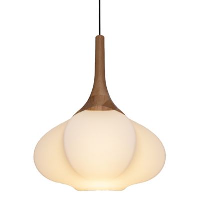 El Torrent Lighting - Ceiling Lights, Pendants & Lamps at Lumens.com