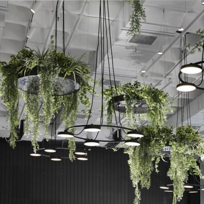 Aro Vegetation Kit by Estiluz at Lumens.com