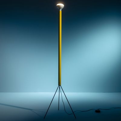 Luminator Floor Lamp by FLOS at Lumens.com