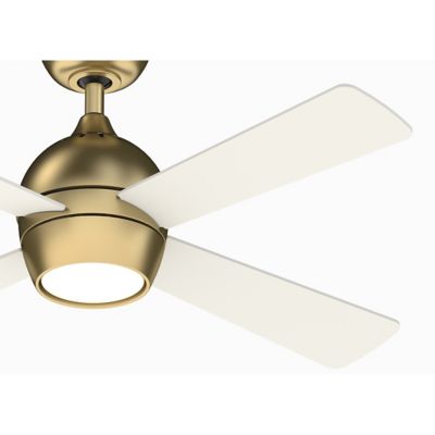 Kwad Ceiling Fan by Fanimation Fans at Lumens.com