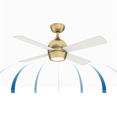 Kwad Ceiling Fan by Fanimation Fans at Lumens.com