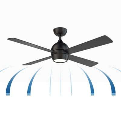Kwad Ceiling Fan by Fanimation Fans at Lumens.com