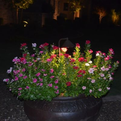 PL19 Outdoor LED Path Light by Focus Industries at Lumens.com