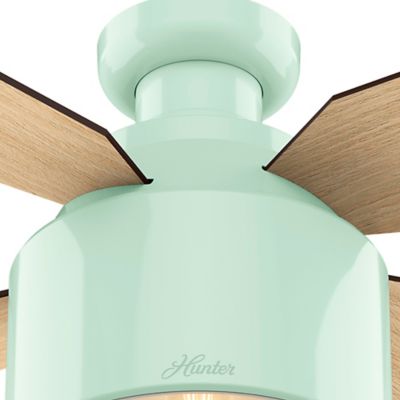Cranbrook Low Profile Ceiling Fan by Hunter Fans at Lumens.com