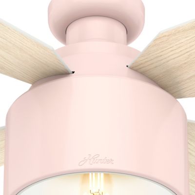 Cranbrook Low Profile Ceiling Fan by Hunter Fans at Lumens.com