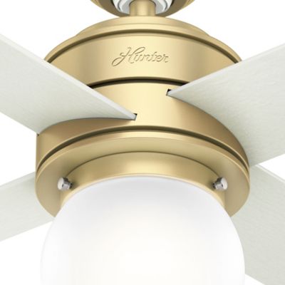 Hepburn Ceiling Fan by Hunter Fans at Lumens.com