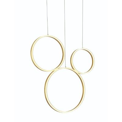 Round Modern Linear Suspension & Linear Lighting