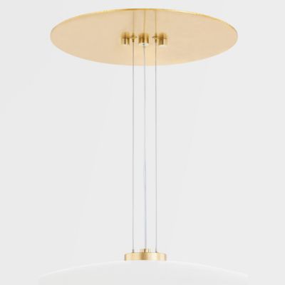 Brim LED Chandelier by Hudson Valley Lighting at Lumens.com