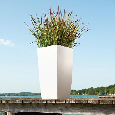 Cubico Matte Self Watering Planter by Lechuza at Lumens.com