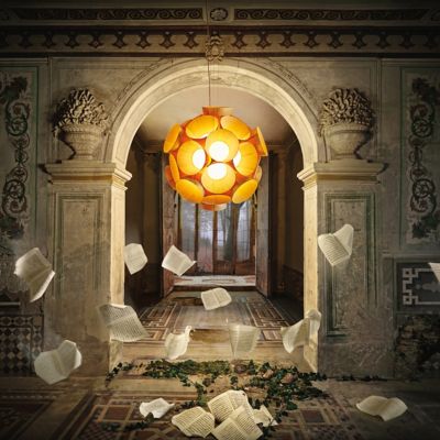 Dandelion LED Pendant by LZF at Lumens.com