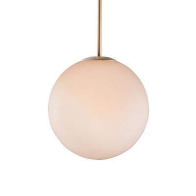 Terzo Single Pendant Light by Huxe at Lumens.com
