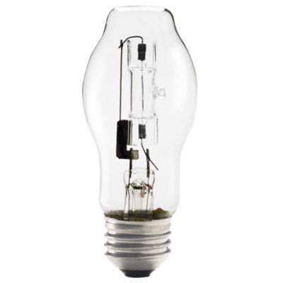 Decorative Light Bulbs | Specialty & Unique Light Bulbs at Lumens.com