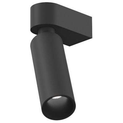 C1 Mono LED Wall Spot Light by FLOS at Lumens.com