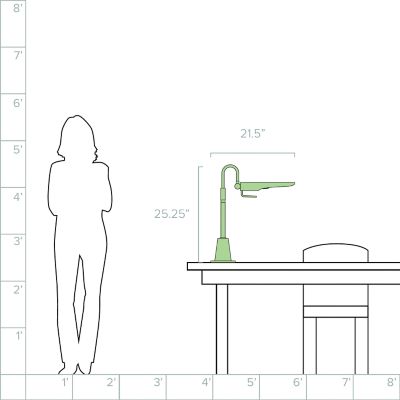 Raven Task Lamp by Regina Andrew at Lumens.com