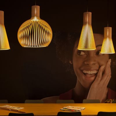 Secto 4201 Pendant by Secto Design at Lumens.com