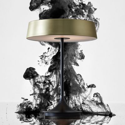 China LED Table Lamp by Seed Design at Lumens.com