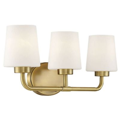 Capra Vanity Light by Savoy House at Lumens.com