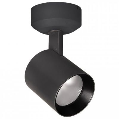 Lucio 22W LED Spotlight by WAC Lighting at Lumens.com