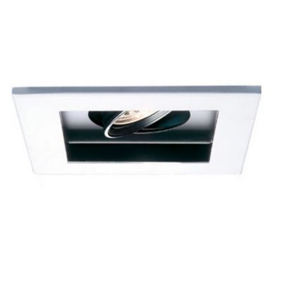 Single Light Multispot by WAC Lighting at Lumens.com