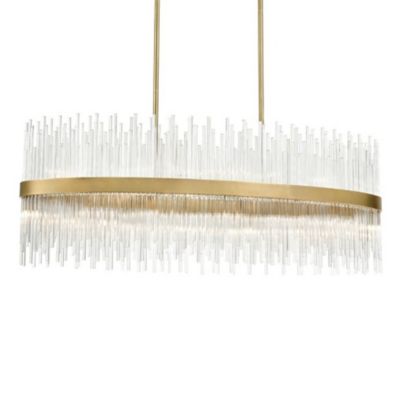 Citadel Oval Linear Suspension by Zeev Lighting at Lumens.com