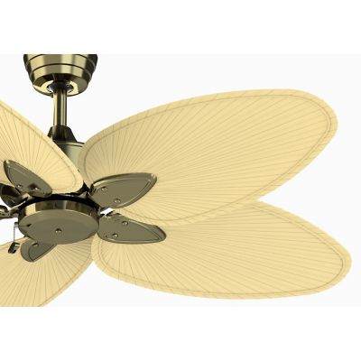 Windpointe Five Blade Ceiling Fan by Fanimation Fans at Lumens.com