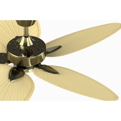 Windpointe Five Blade Ceiling Fan by Fanimation Fans at Lumens.com