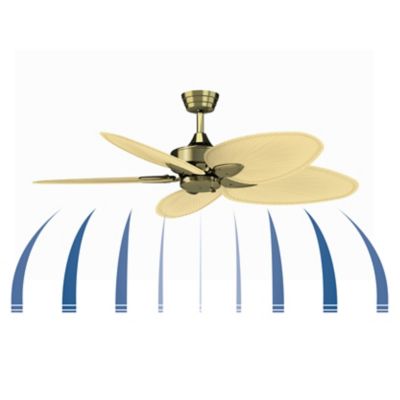 Windpointe Five Blade Ceiling Fan by Fanimation Fans at Lumens.com