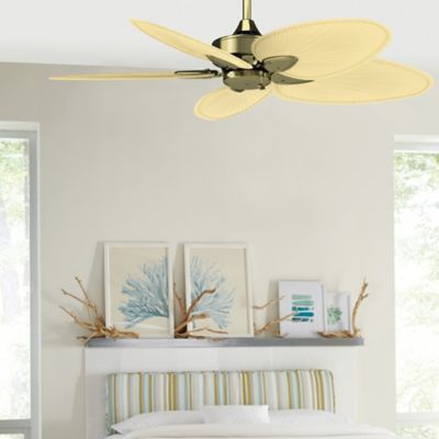 Windpointe Five Blade Ceiling Fan by Fanimation Fans at Lumens.com