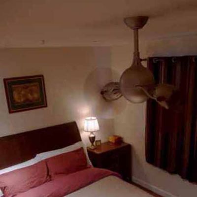 Acqua Ceiling Fan by Atlas Fan Company at Lumens.com