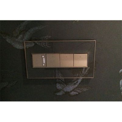 Paddle Switch by Legrand Adorne at Lumens.com