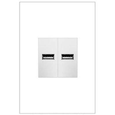 USB 1-Module Outlet by Legrand Adorne at Lumens.com