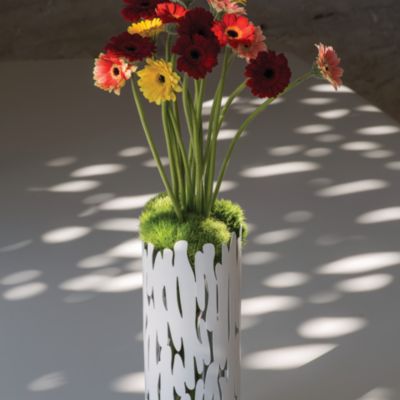 Alessi - Modern Italian Home Accessories at Lumens.com